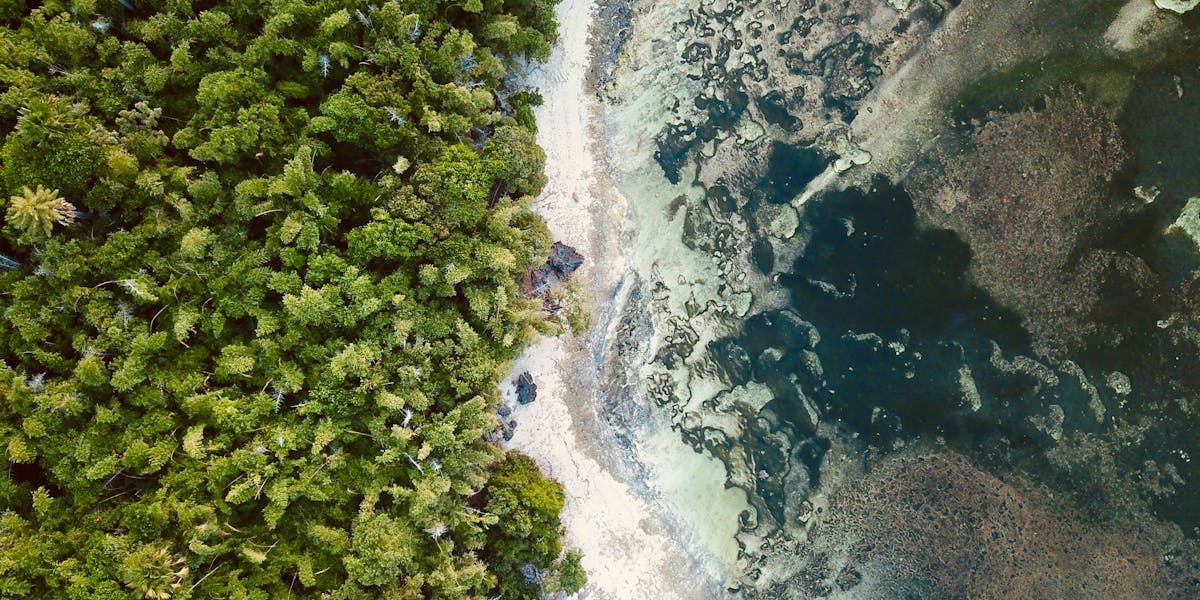 Marine ecosystem is the largest and most stable ecosystem on the earth ...